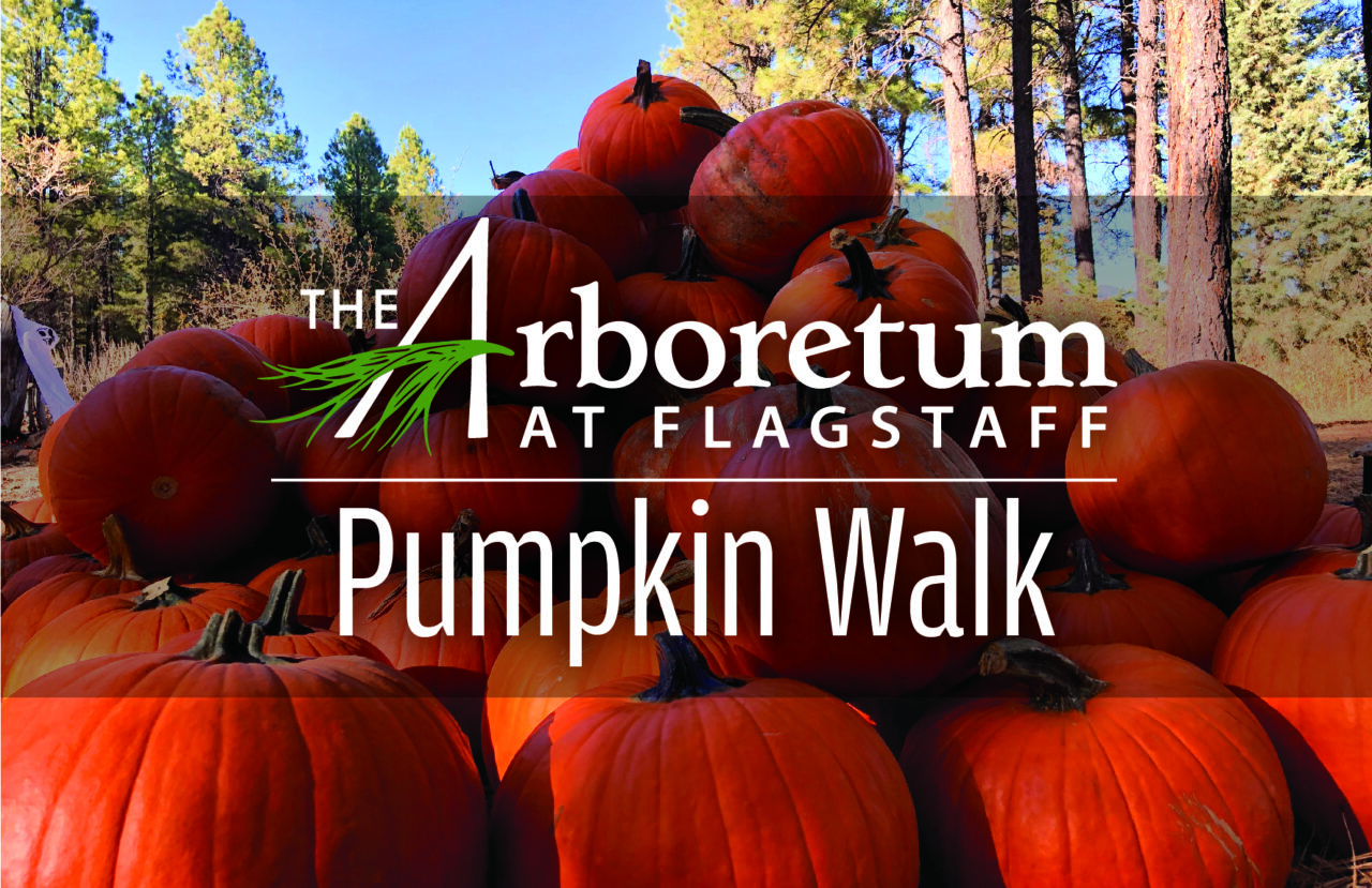 Home - The Arboretum at Flagstaff
