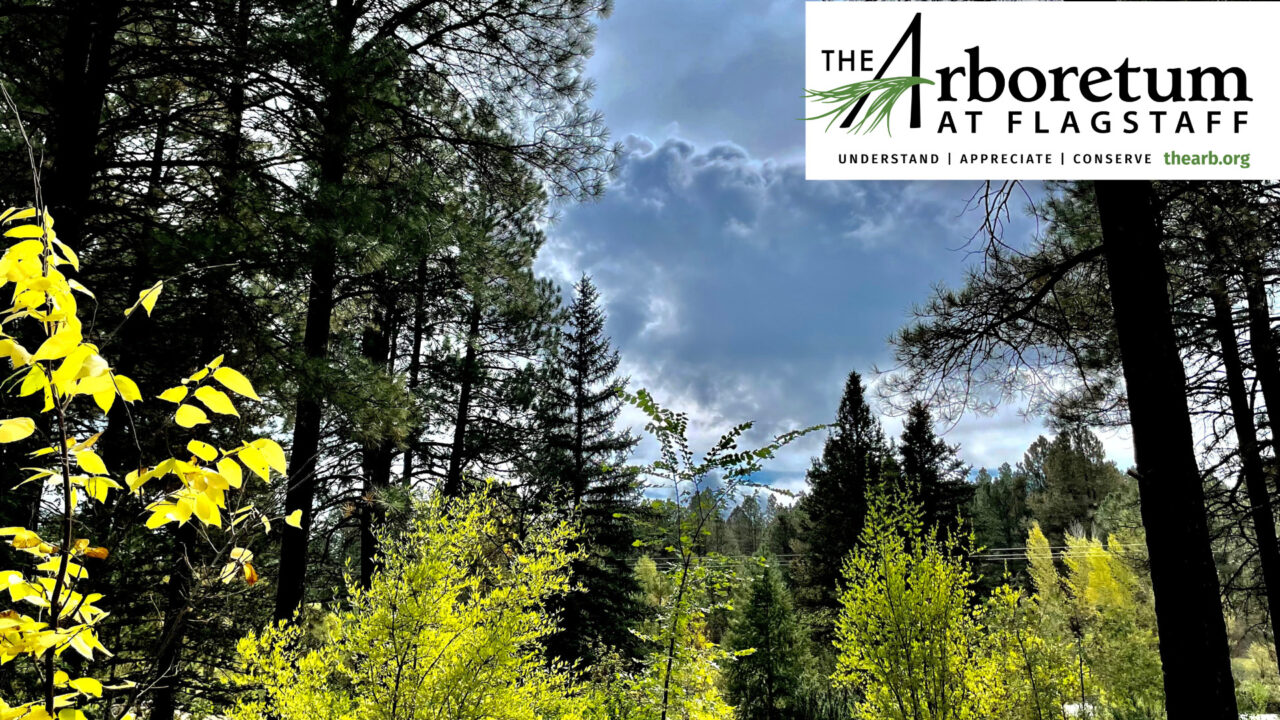 Home - The Arboretum at Flagstaff