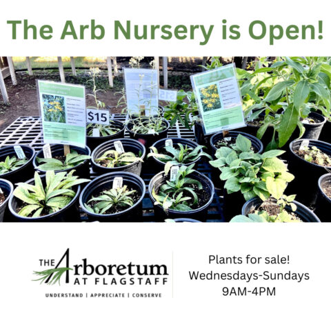 Home - The Arboretum at Flagstaff