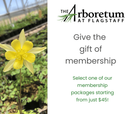 Become a Member of The Arb - The Arboretum at Flagstaff